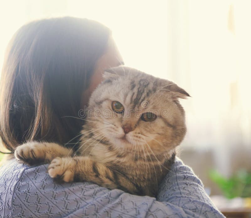 Young Woman Hugging Scottish Fold Cat Stock Photo - Image of pets ...