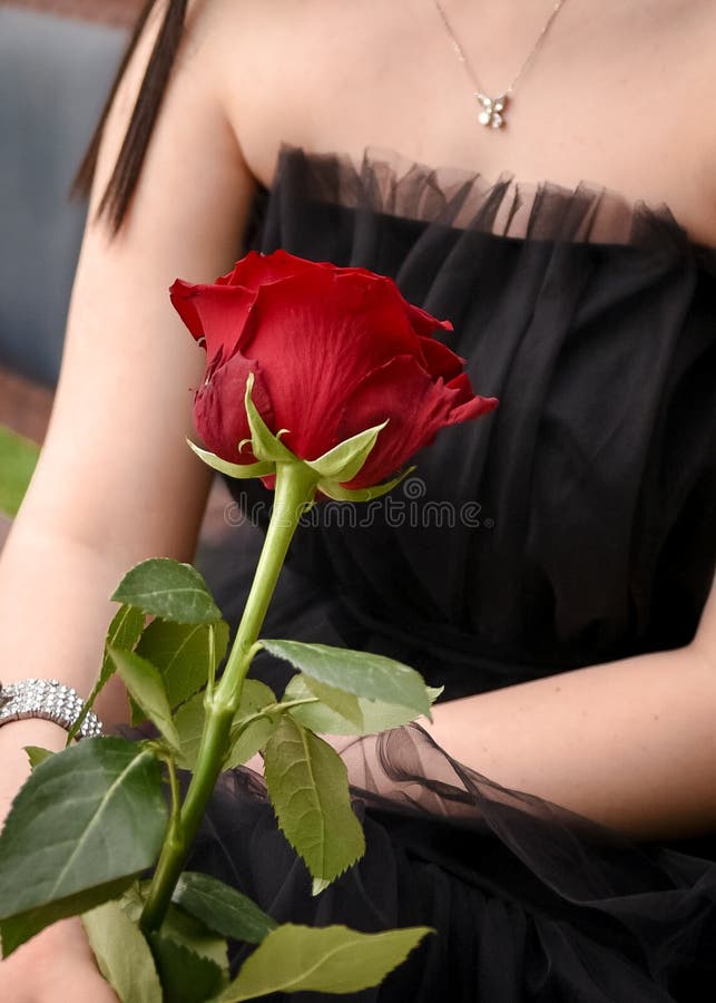 Young Woman Holding a Red Rose in Her Hand Stock Photo - Image of ...
