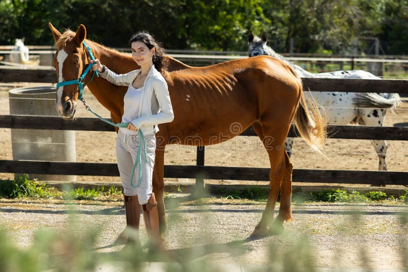 Horse Breeding Human Female Stock Photos - Free & Royalty-Free Stock ...