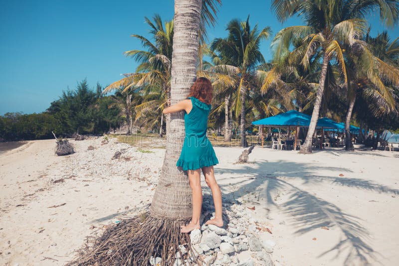 Young Woman Hugging a Palm Tree Stock Image - Image of summer ...