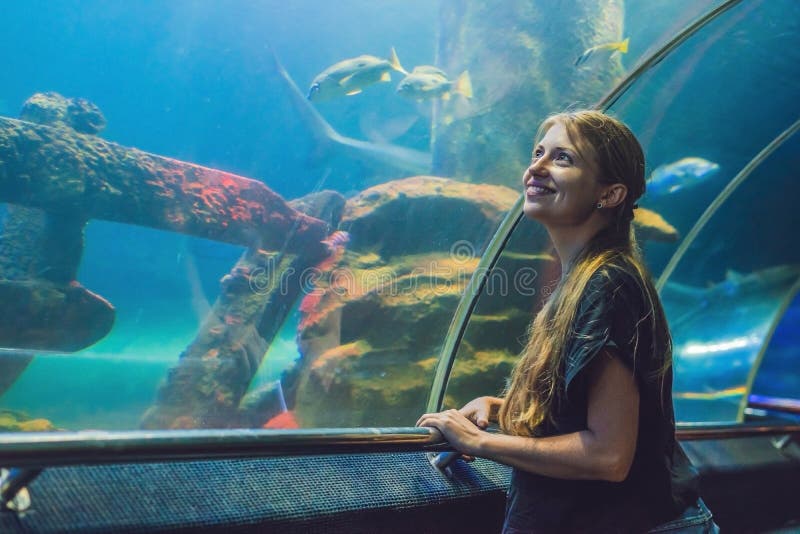 Young Woman Looking at Fish in a Tunnel Aquarium Stock Photo - Image of ...