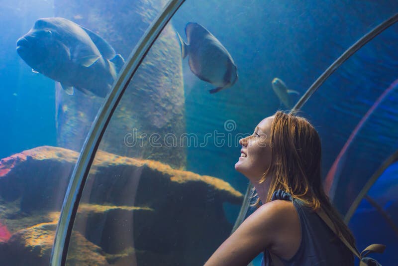 Young Woman Looking at Fish in a Tunnel Aquarium Stock Photo - Image of ...