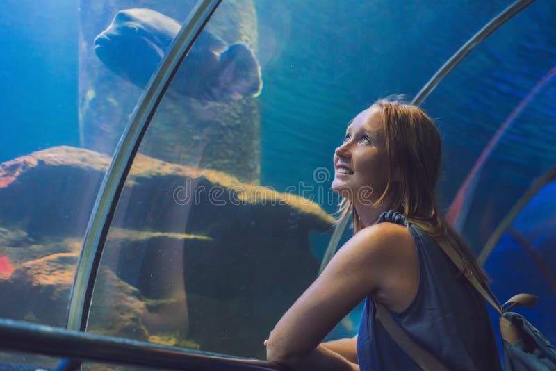 Young Woman Looking at Fish in a Tunnel Aquarium Stock Image - Image of ...