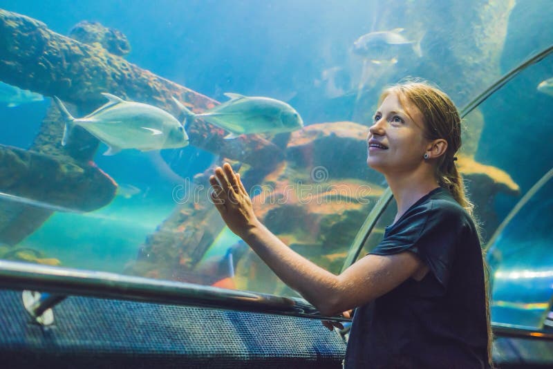 Young Woman Looking at Fish in a Tunnel Aquarium Stock Image - Image of ...