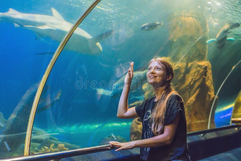 Young Woman Looking at Fish in a Tunnel Aquarium Stock Photo - Image of ...