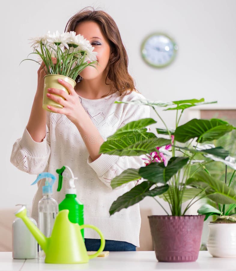 Young Woman Looking after Plants at Home Stock Photo - Image of green ...