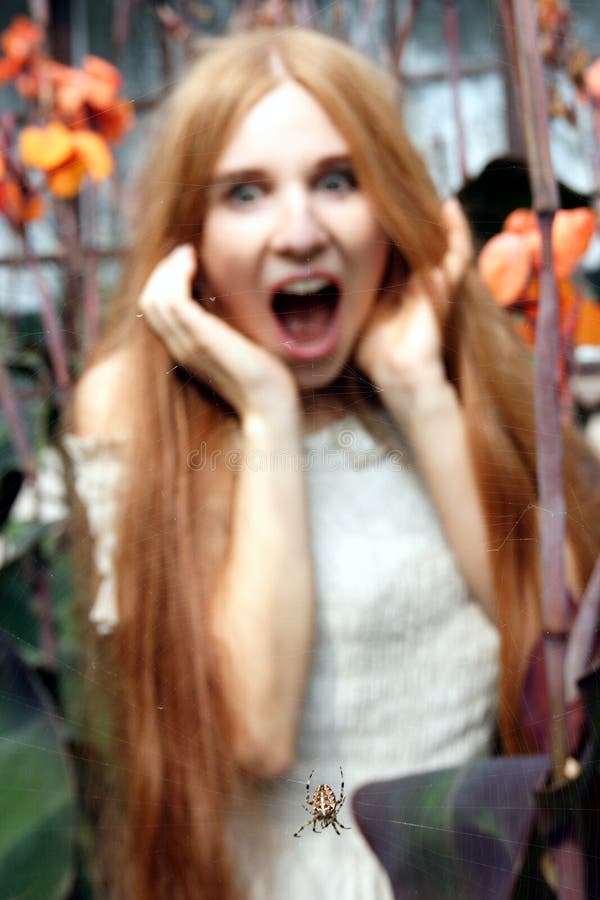 Young Woman Looking at Spider and Screaming Stock Photo - Image of ...