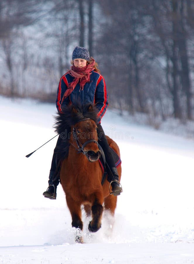 Young woman and pony stock image. Image of snow, active - 87319263