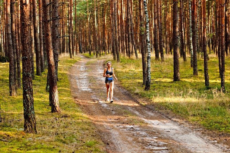 Jogging in the woods stock photo. Image of training - 124211452
