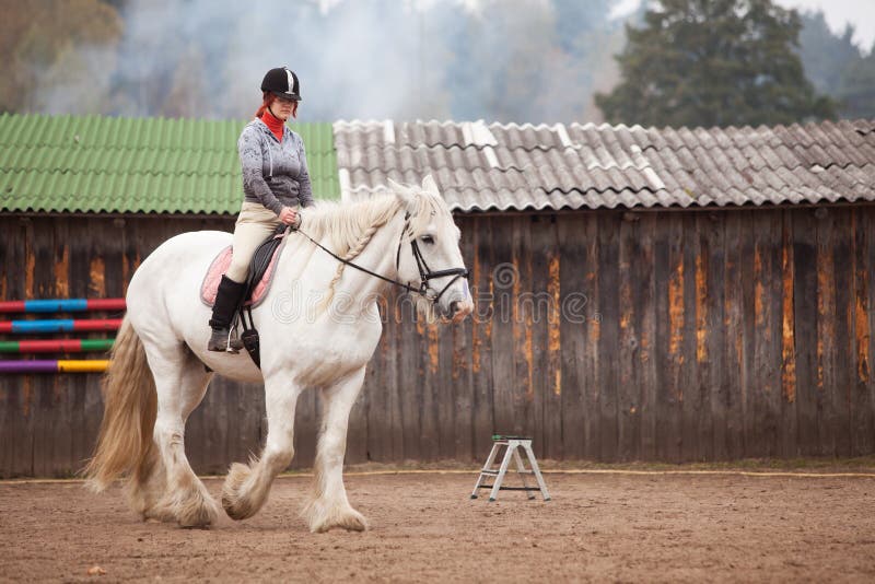 Young Woman Riding Shire Horse Stock Photo - Image of horse, hair: 16645664