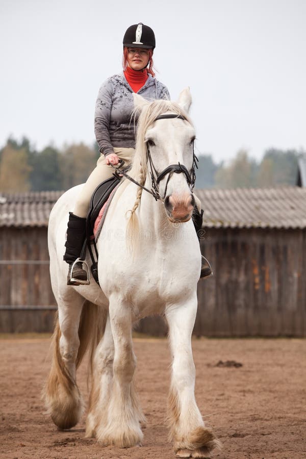 Young Woman Riding Shire Horse I Stock Image - Image of hobby, autumn ...