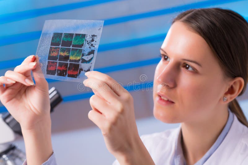 Young Woman in Science the Laboratory Stock Photo - Image of ...