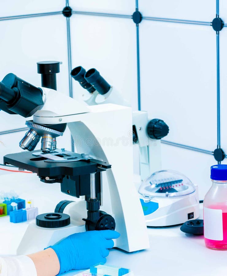 Young Woman Scientists Working with Microscope in Microbiology ... Young Woman Scientists Working with Microscope in Microbiology ...