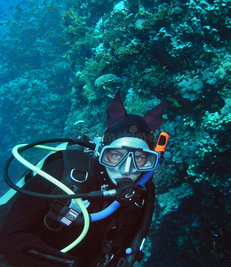 Woman scuba diver stock photo. Image of diver, reef, adventure - 18331970