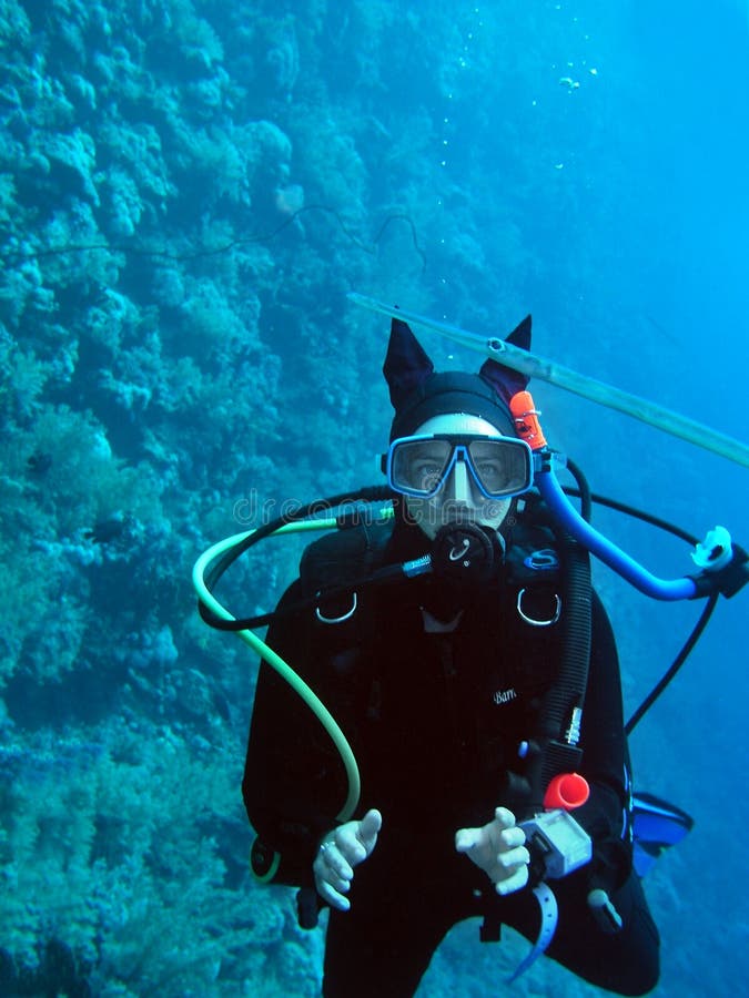 Woman Scuba Diver stock image. Image of reef, beach, coral - 5444359