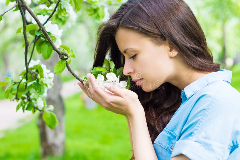 Young Woman is Smelling Apple Flower Stock Image - Image of flower ...