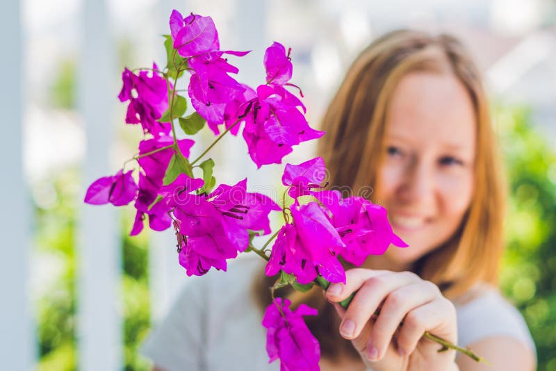 Young Woman with Spring Purple Flowers. Spring Concept Stock Photo ...