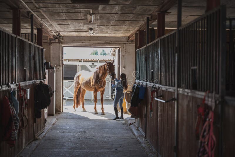 Woman Taking Care of Her Horse in Stable Stock Image - Image of ...