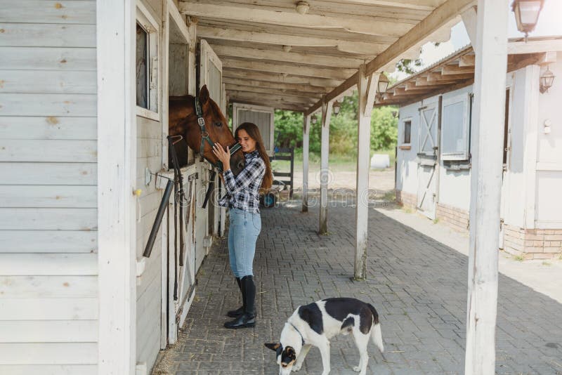 Woman Taking Care of Her Horse in Stable Stock Photo - Image of ...