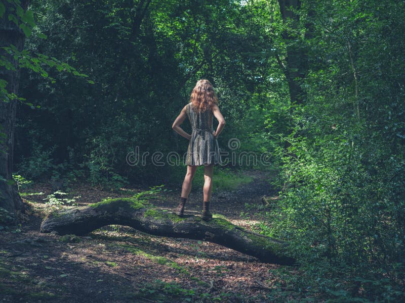 Young Woman Standing on a Log in the Forest Stock Photo - Image of ...