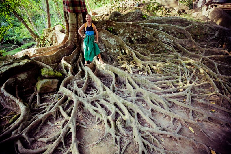Young Woman Standing on the Tree Roots Stock Photo - Image of rain ...