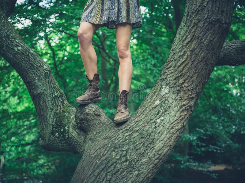 Woman Climbing Tree Skirt Stock Photos - Free & Royalty-Free Stock ...