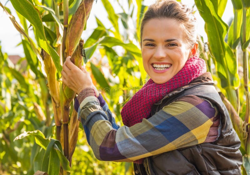 Young woman tearing corn stock photo. Image of environment - 46335358