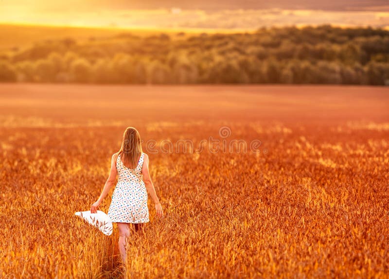 Young Woman Walking in the Wheat Field at Sunset. Back View Stock Image ...
