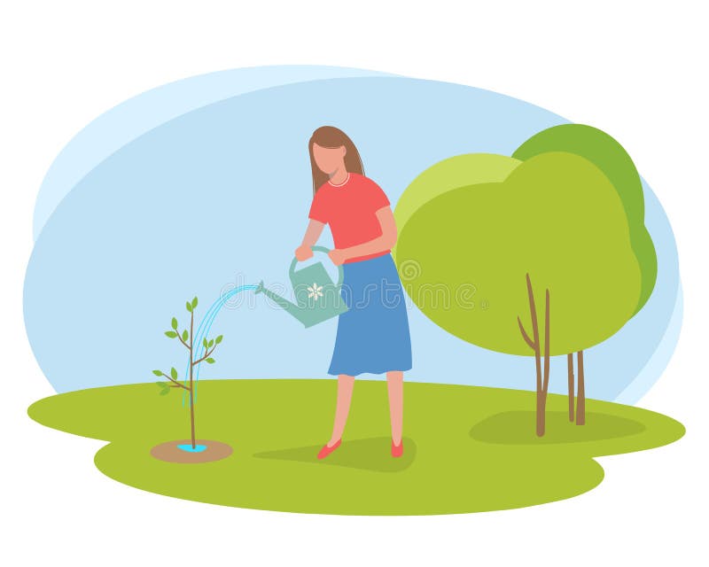 Young Woman is Watering a Small Tree from a Watering Can Stock Vector ...