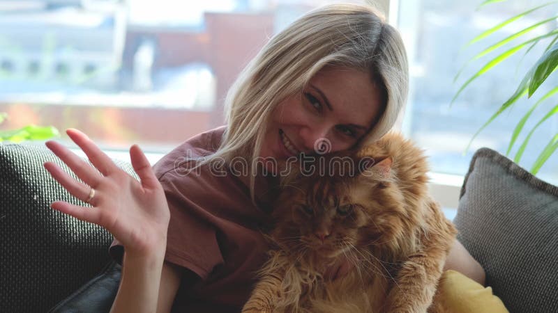 Cat Waving Hello Stock Photos - Free & Royalty-Free Stock Photos from ...