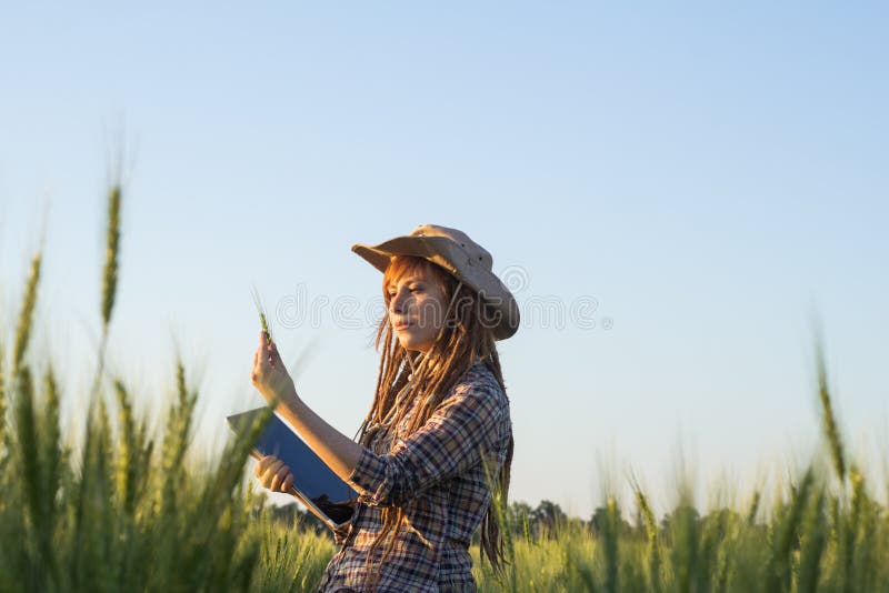 Young woman work in fields stock photo. Image of farming - 121288186