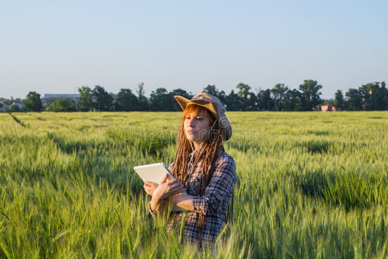 Young woman work in fields stock photo. Image of plant - 121288204