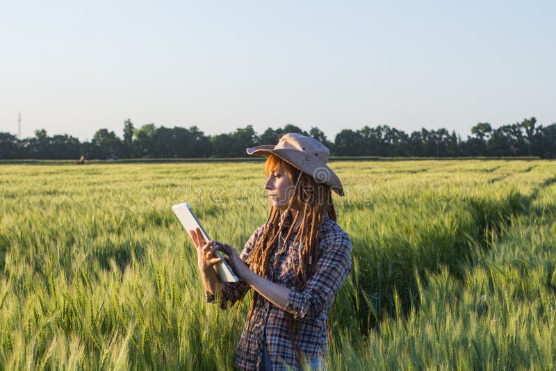 Young woman work in fields stock image. Image of agricultural - 121288237