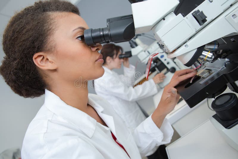 Young Woman Work in Microbiological Laboratory with Microscope Stock ...