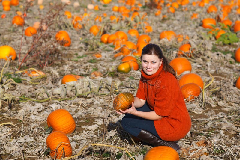 Young Woman Working on Pumpkin Field Stock Image - Image of patch ...