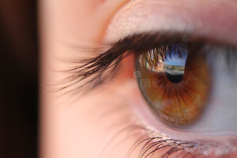 Young women eye stock image. Image of cute, women, caucasian - 50947637