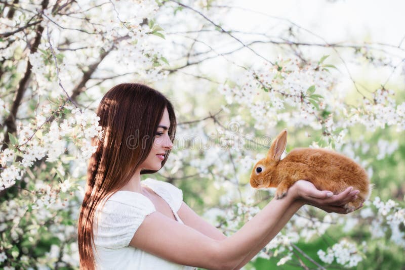 Young women with rabbit stock image. Image of elegant - 87336665