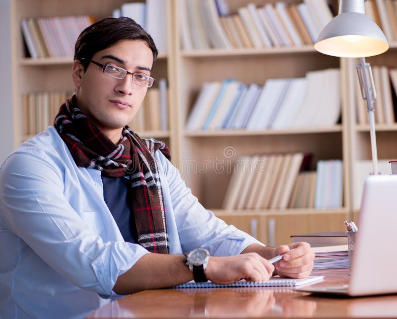 Young Writer Working in the Library Stock Image - Image of freelancer ...