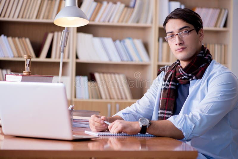 The Young Writer Working in the Library Stock Photo - Image of diary ...