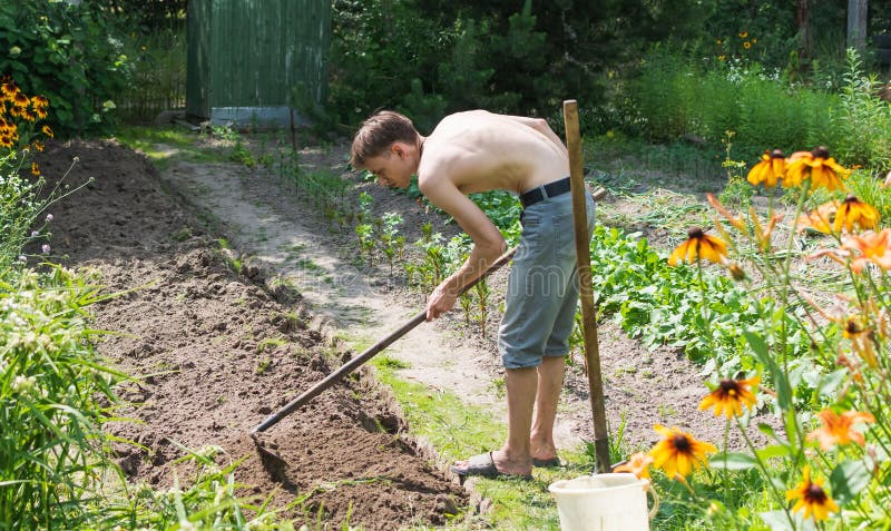 A Young Young Man Works on a Country Plot Stock Photo - Image of color ...