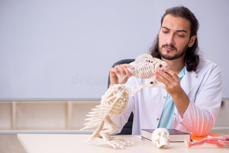 Young Male Zoologist Examining Fish Skeleton Stock Photo - Image of ...