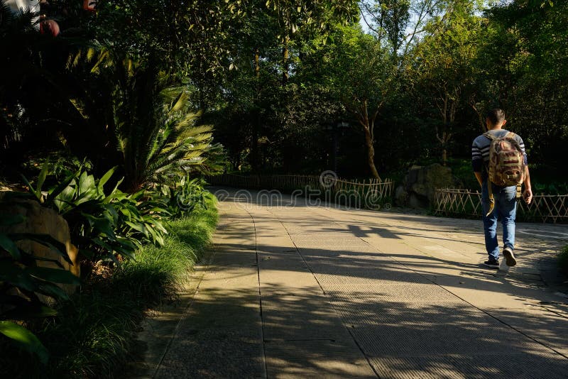 Young Man with Backpack Strolling Along Shady Stone Path Editorial ...