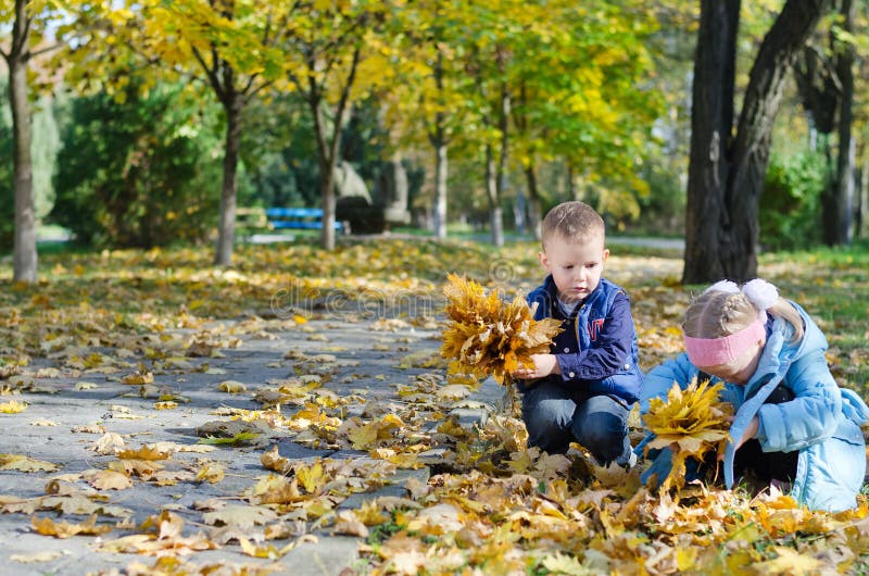 Youngsters Collecting Autumn Leaves Royalty Free Stock Images - Image ...