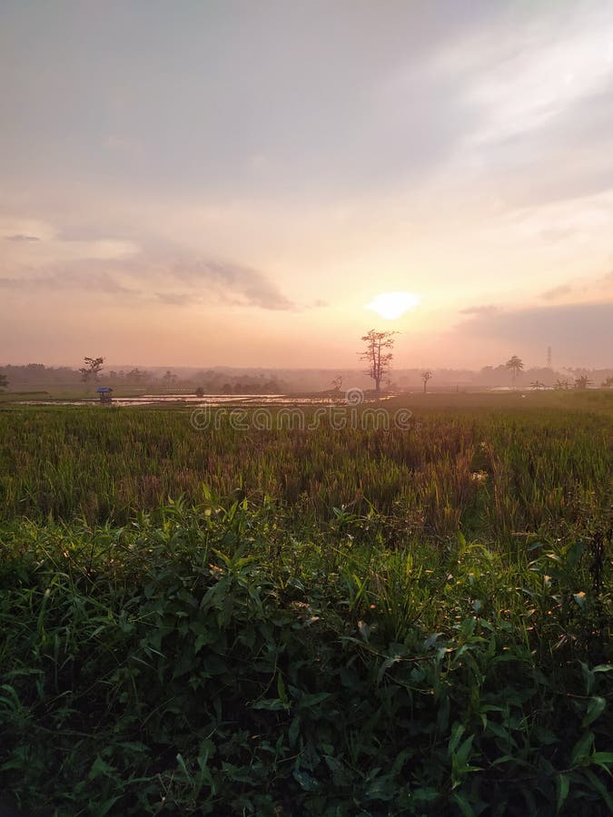 Your Beautiful stock photo. Image of beautyfull, love - 88905230