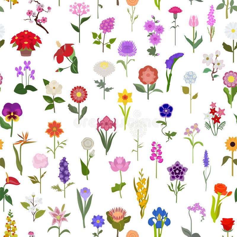 Your Garden Guide. Top 50 Most Popular Flowers Infographic Stock Vector ... Your Garden Guide. Top 50 Most Popular Flowers Infographic Stock Vector ...