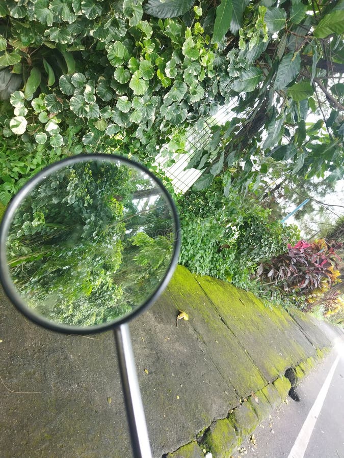 Your seld stock image. Image of seld, looking, mirror - 263488463