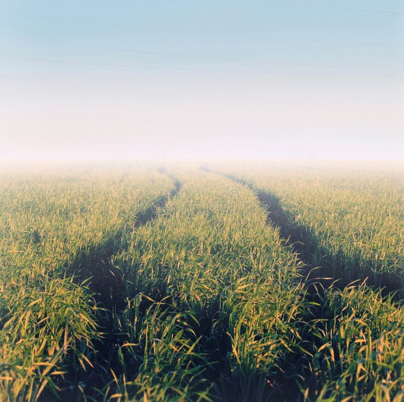 Your way stock photo. Image of fresh, unknown, field - 84547708
