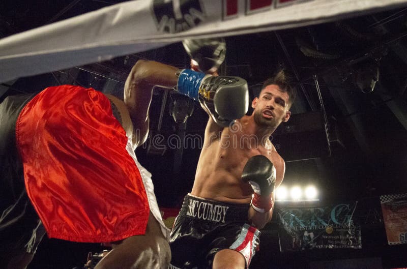 Yrkesmässiga Boxare I Matchup Redaktionell Arkivbild - Bild av ...