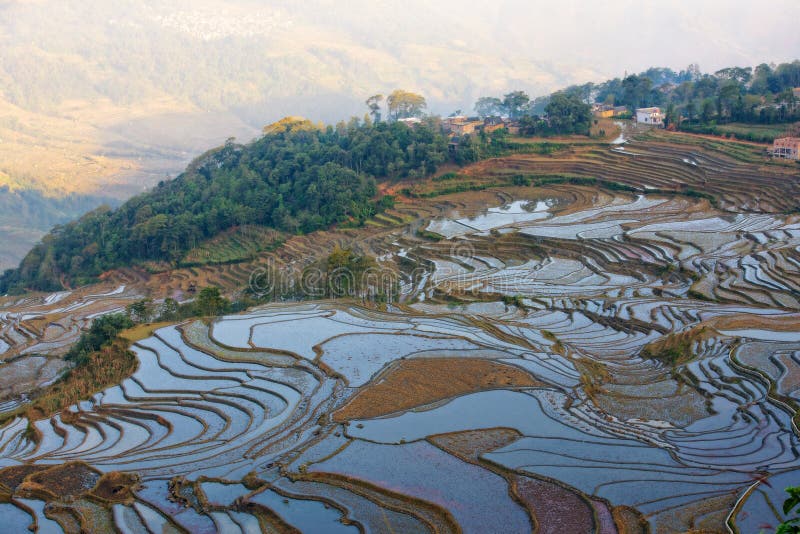 Yuanyang Rice Fields in Yunnan Province, China Stock Image - Image of ...