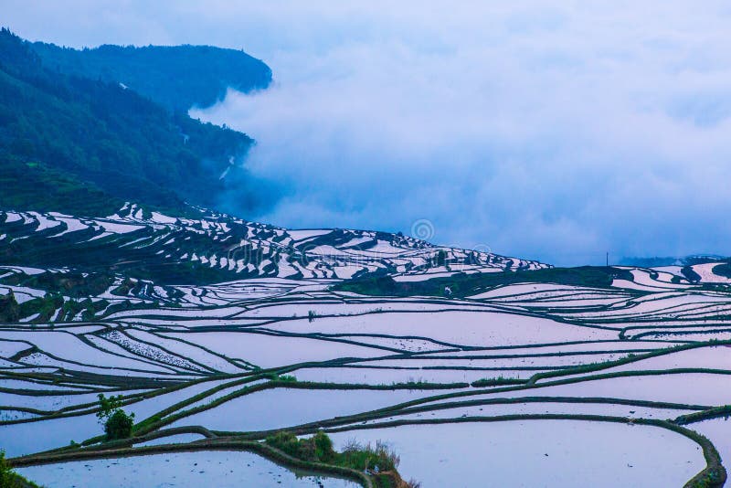 Yuanyang Rice Terraces in China Stock Image - Image of tyical, area ...